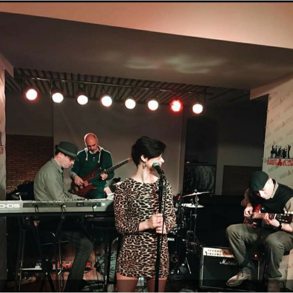 მუსიკალური ბენდები